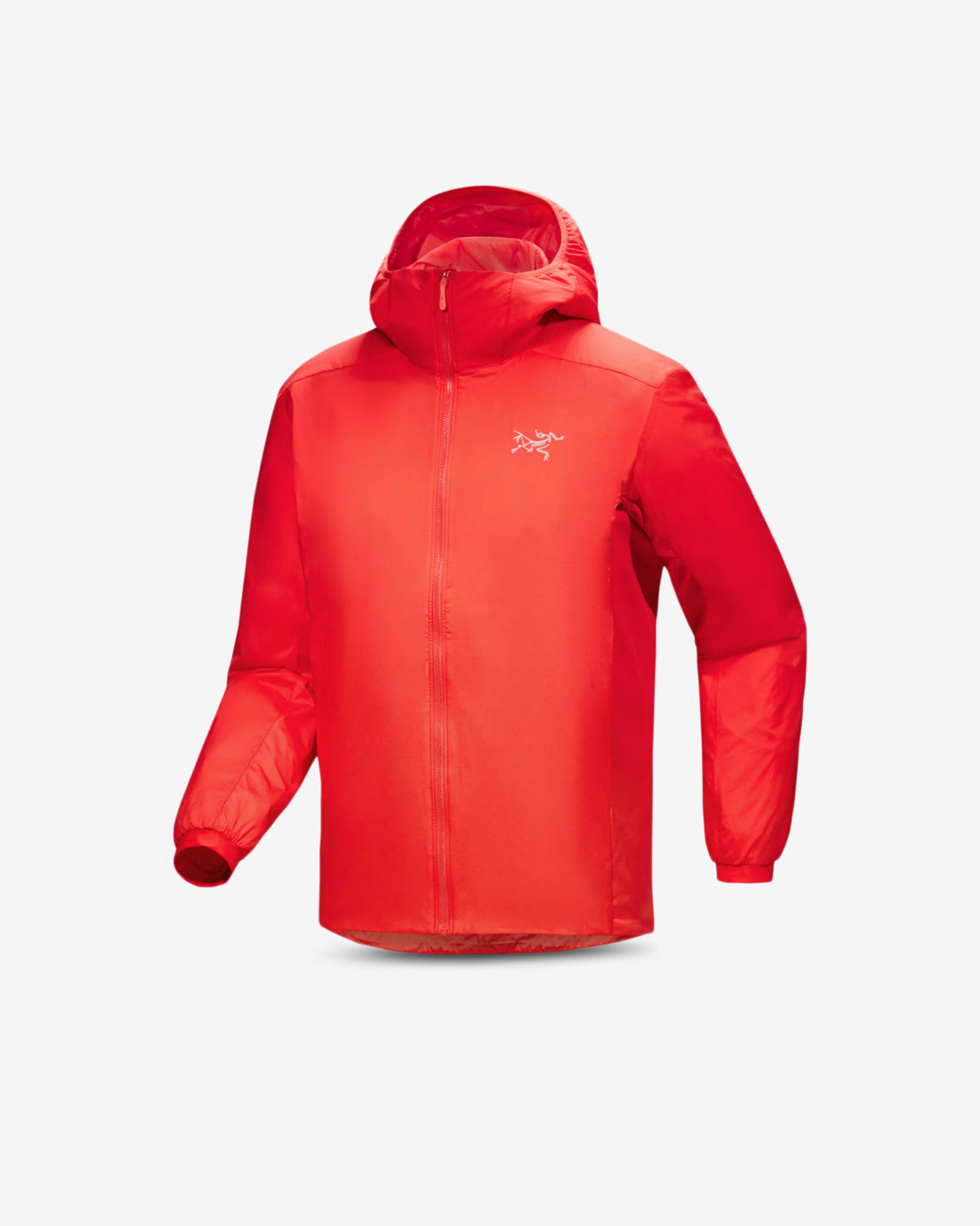 ATOM HOODY - DYNASTY